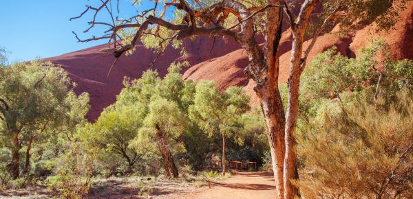 Our Communities | Remote Area Health Corps